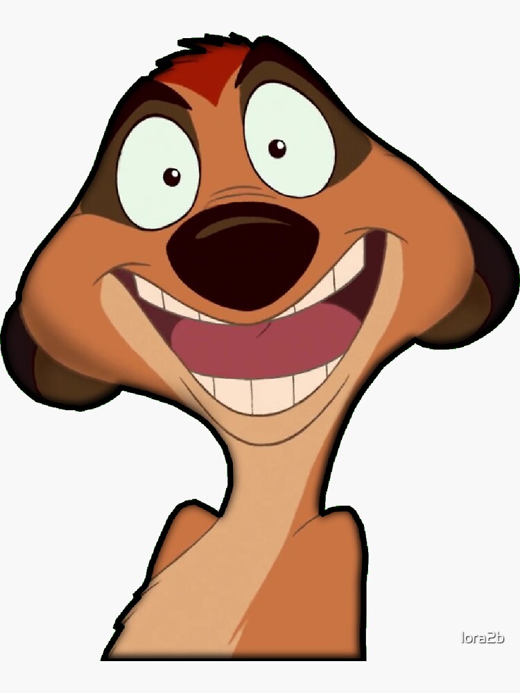 "timon " Sticker for Sale by lora2b | Redbubble