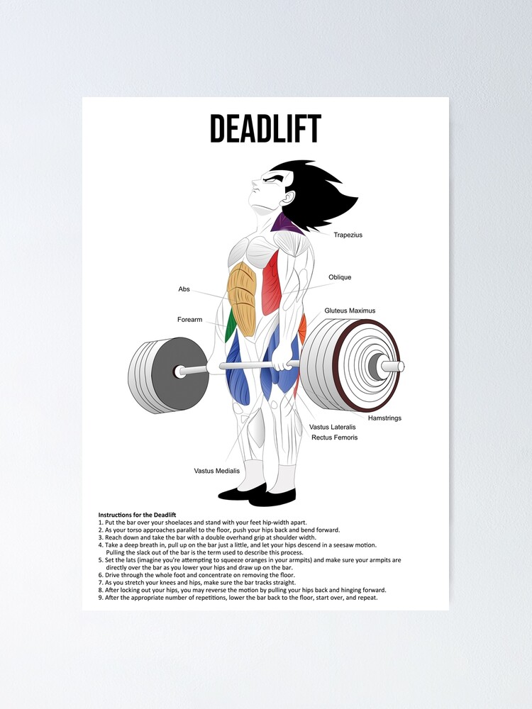 "Deadlift Muscle Chart - Anatomy Diagram - Anime Gym Motivational ...
