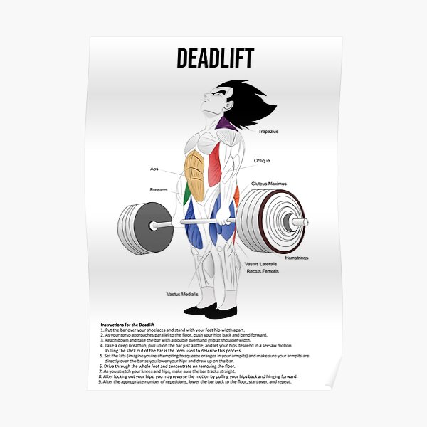 "Deadlift Muscle Chart - Anatomy Diagram - Anime Gym Motivational ...