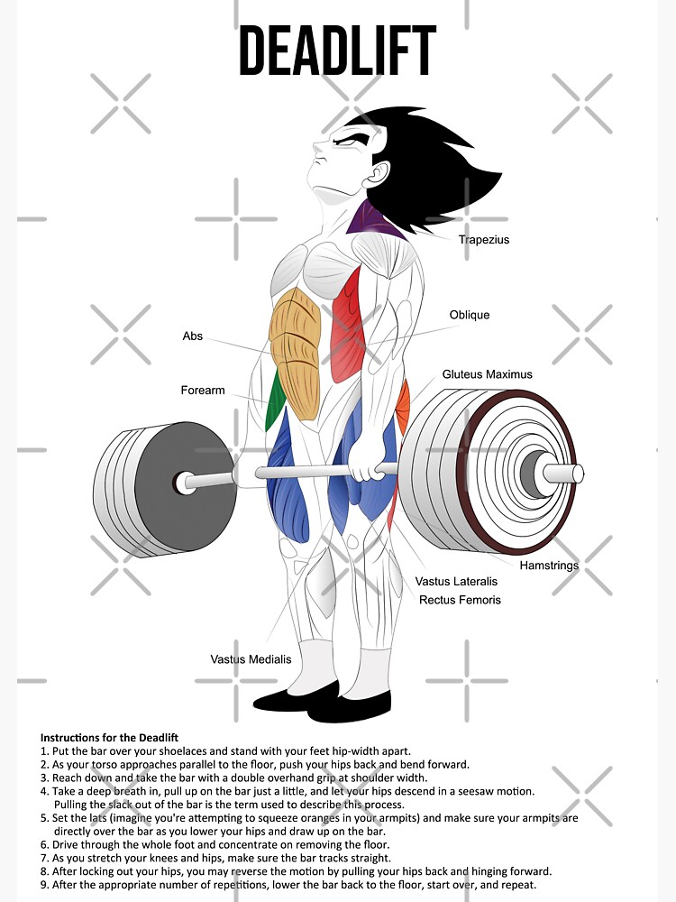 "Deadlift Muscle Chart - Anatomy Diagram - Anime Gym Motivational ...