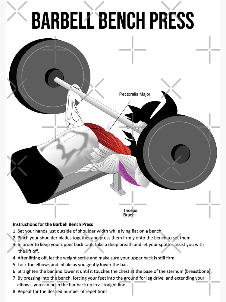 "Bench Press Muscle Chart - Anatomy Diagram - Anime Gym Motivational ...