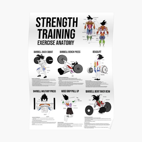 "Strength Training Exercises - Muscle Chart - Anatomy Diagram - Anime ...