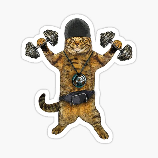 "Kitten My Swole On sticker" Sticker for Sale by aminebmi | Redbubble