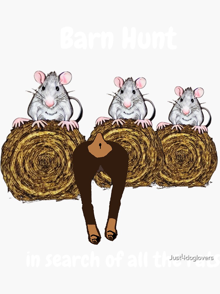 "Funny Barn Hunt - in search of all the rats with a tan/rust colored ...