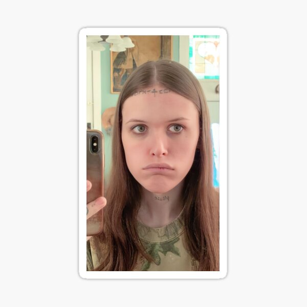 Ethel Cain Funny Sticker For Sale By Work2art Redbubble