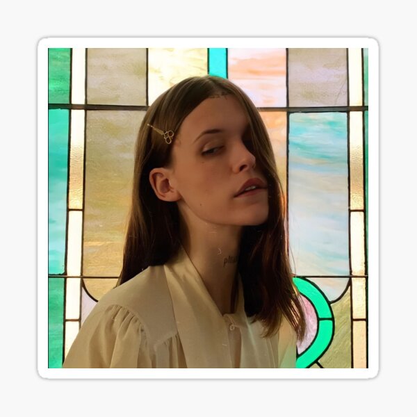 "Ethel Cain glass art " Sticker for Sale by Work2art | Redbubble