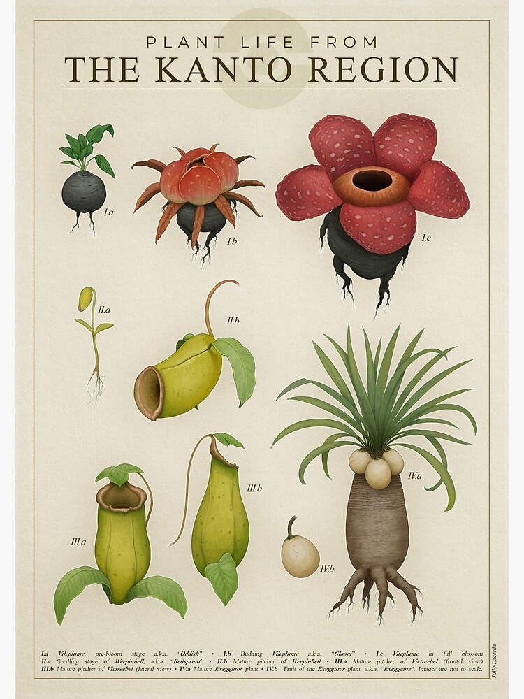 "Plant life from Kanto" Art Print for Sale by julio-lacerda | Redbubble