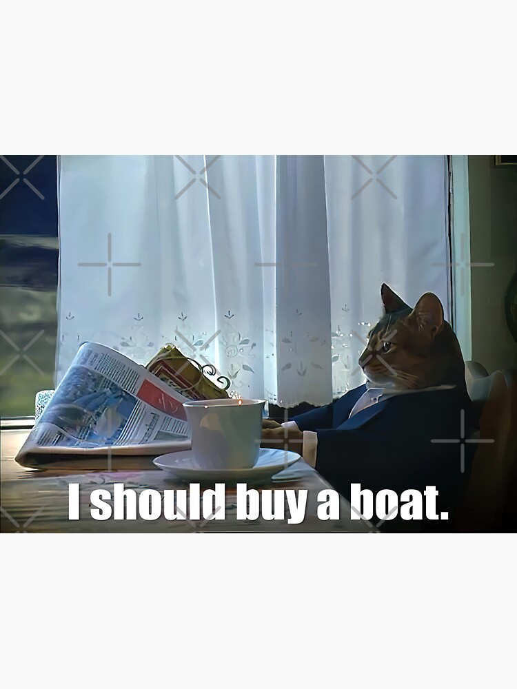 "HQ I Should Buy A Boat Cat Reading Newspaper Meme" Sticker for Sale by ...