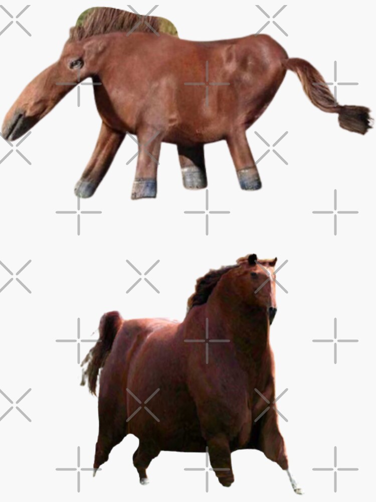 "Horse meme-Honse pack" Sticker for Sale by redakhatib | Redbubble