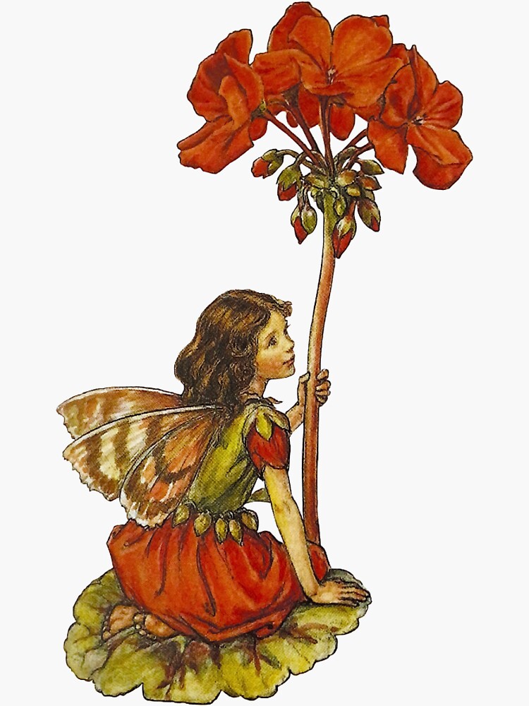 "geranium fairy" Sticker for Sale by hailschmidt | Redbubble