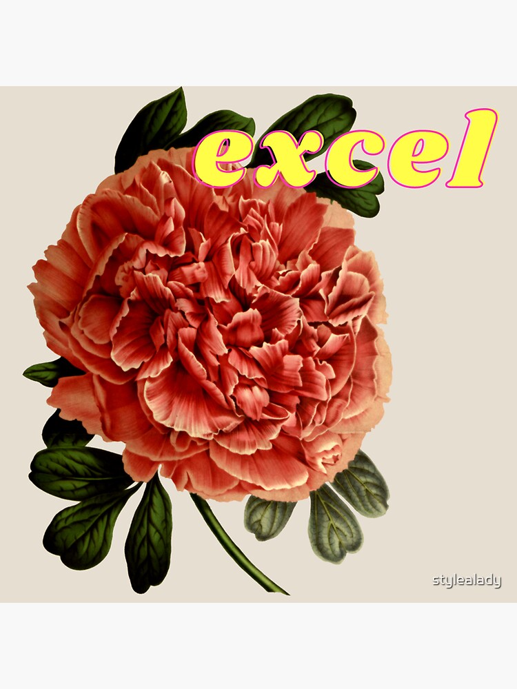 "excel, flower power series" Sticker for Sale by stylealady | Redbubble