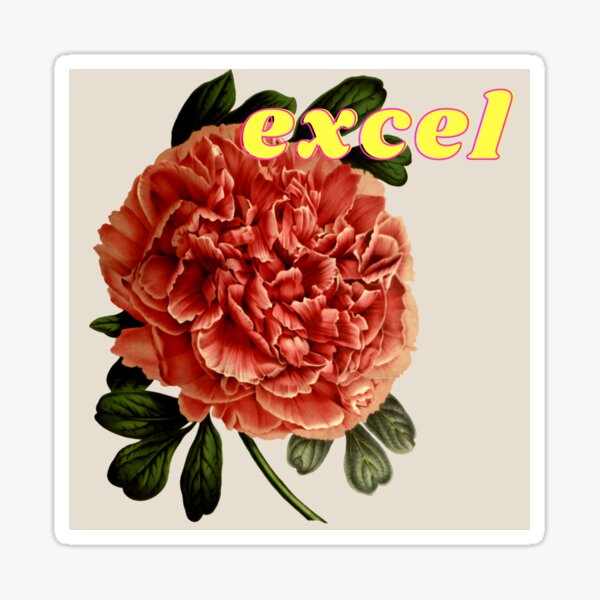 "excel, flower power series" Sticker for Sale by stylealady | Redbubble