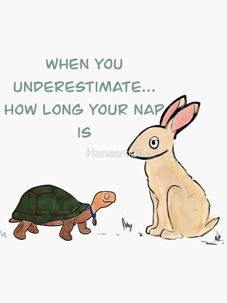 Turtle Rabbit Memes
