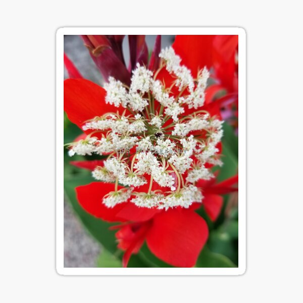 "Color pop" Sticker for Sale by TheRoyalRaven | Redbubble