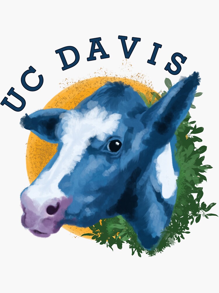 "Blue UC Davis Cow " Sticker for Sale by NathanJohs | Redbubble