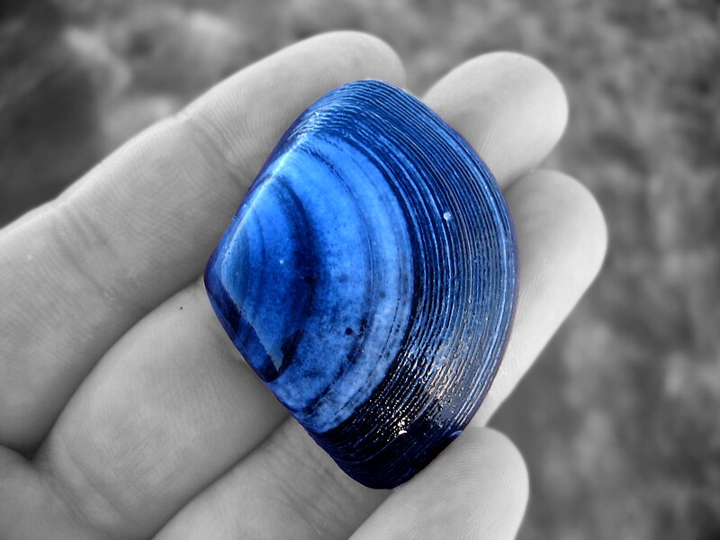 "Blue shell" by jaecee666 | Redbubble