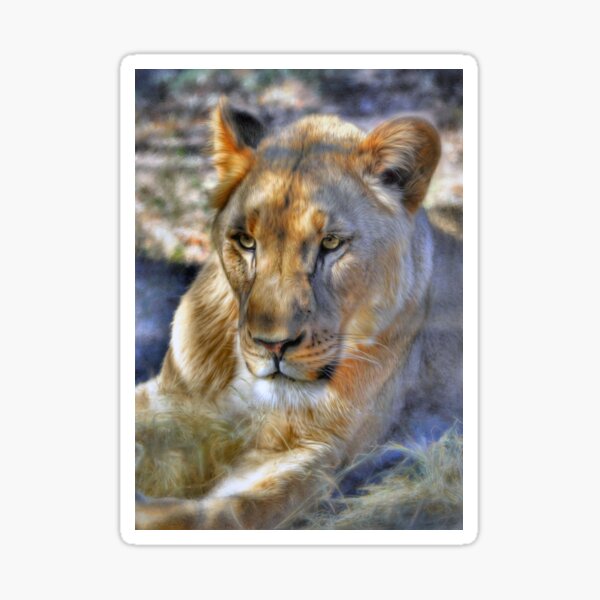 "Lioness " Sticker by venny | Redbubble