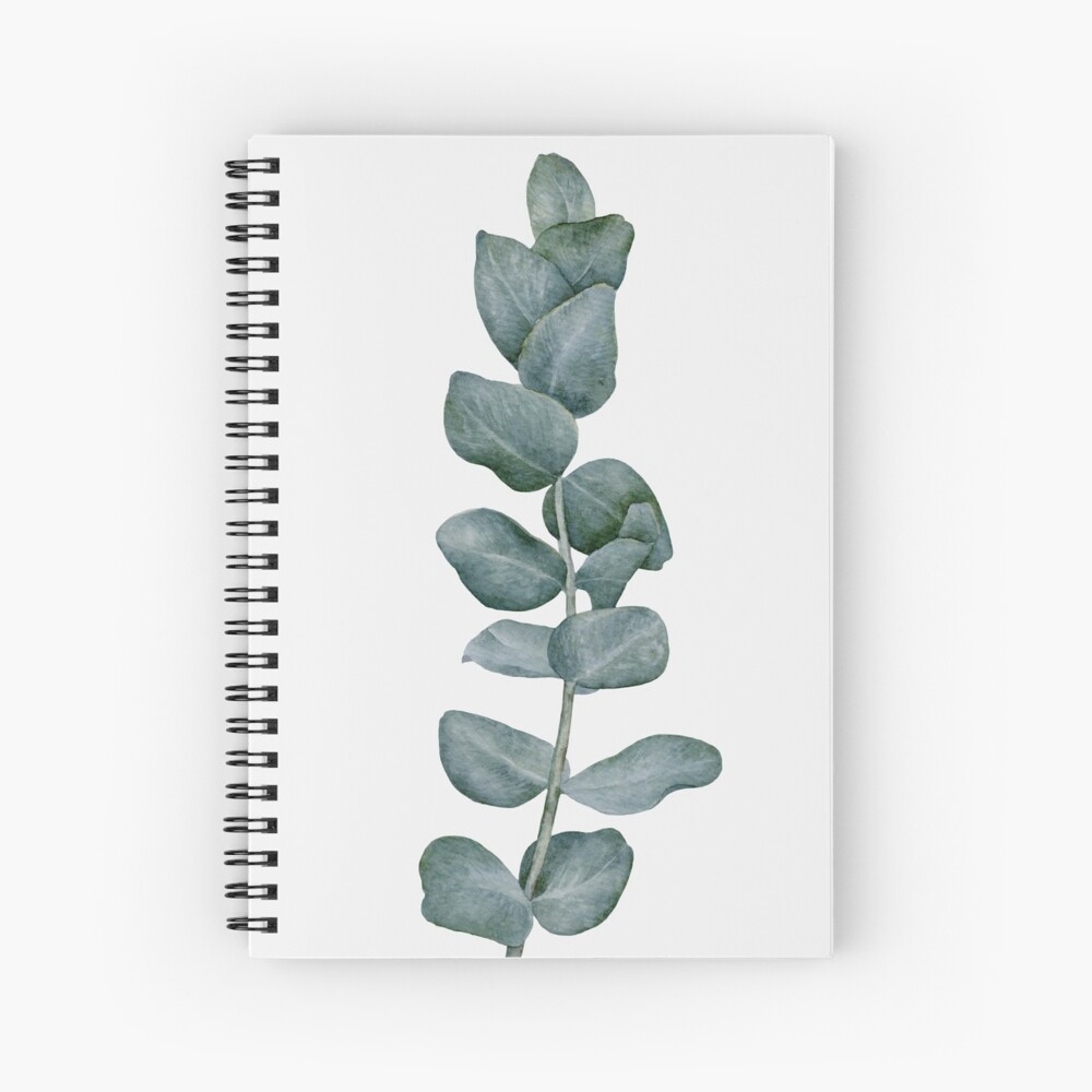 "Eucalyptus modern plant, minimalistic Scandinavian art" Spiral ...