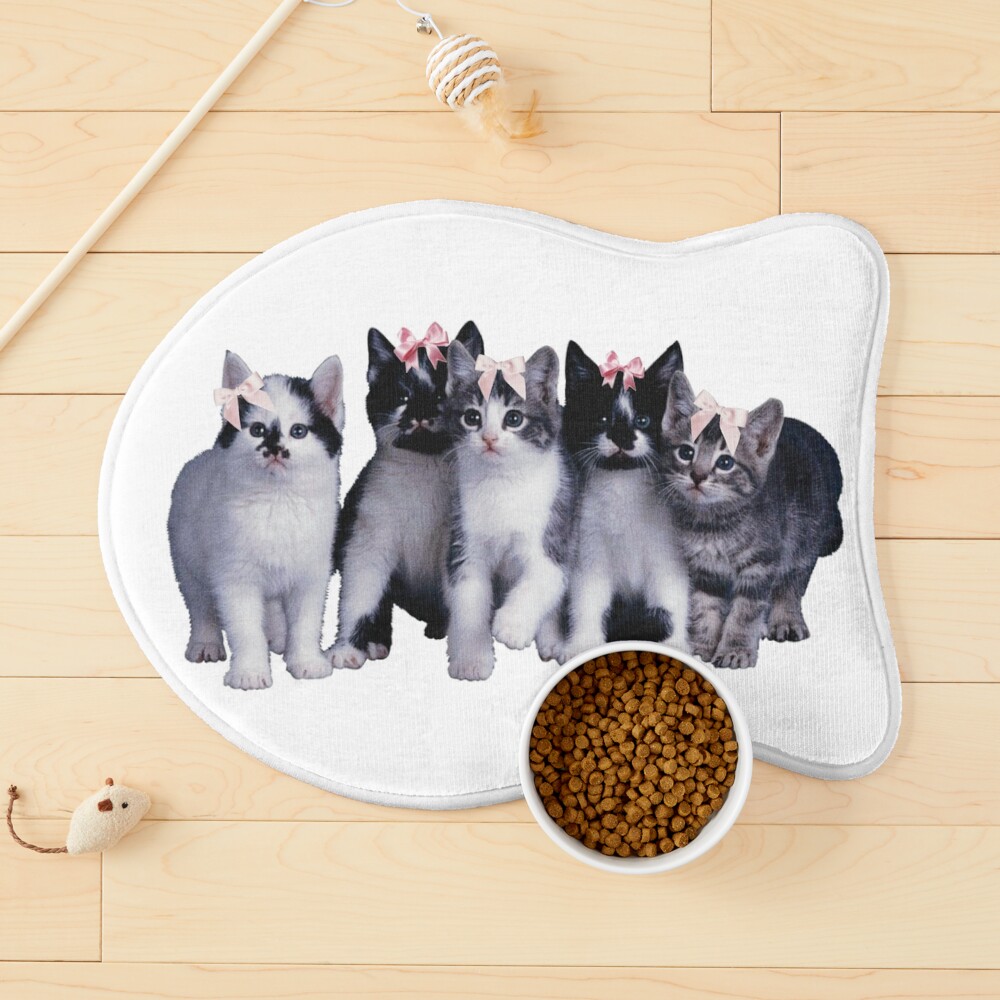 "coquette cats" Sticker for Sale by spoiledbratz | Redbubble