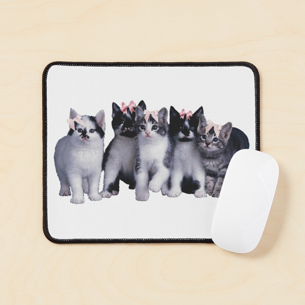 "coquette cats" Sticker for Sale by spoiledbratz | Redbubble