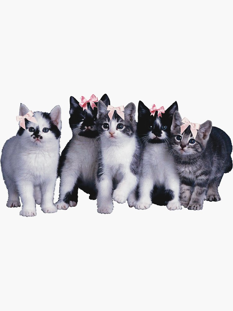 "coquette cats" Sticker for Sale by spoiledbratz | Redbubble