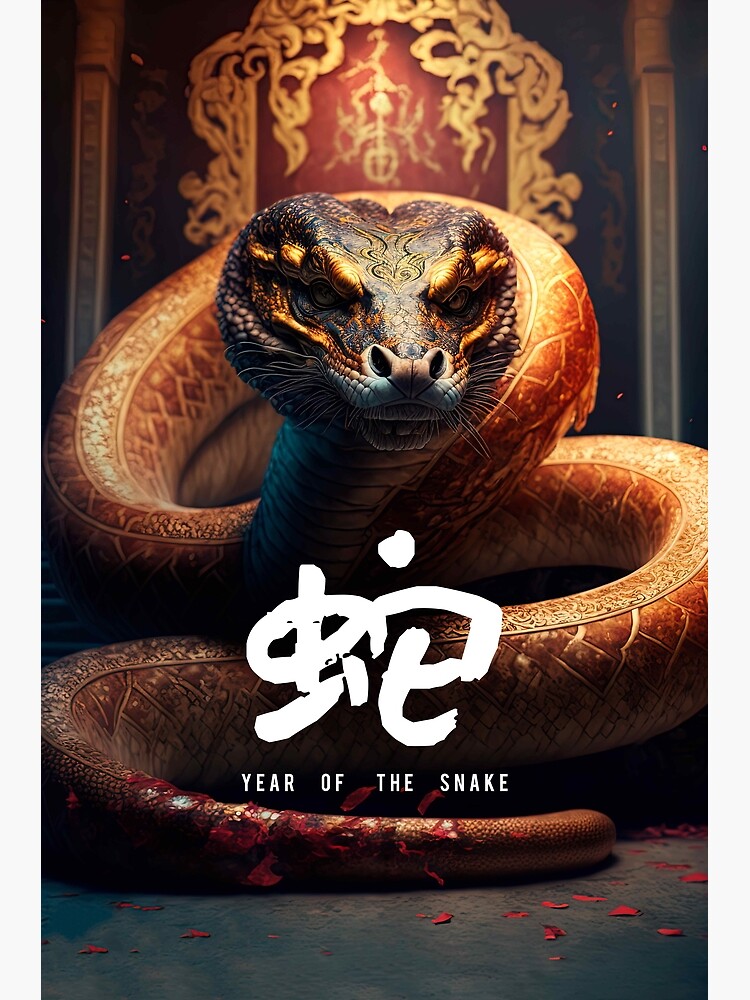 "Chinese Zodiac Dragon Snake" Poster by Paraverse | Redbubble