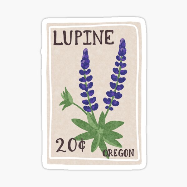"Lupine Flowers" Sticker for Sale by Akaihart | Redbubble