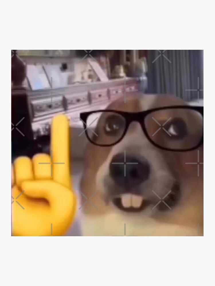 "Um actually dog" Sticker for Sale by Visual20 | Redbubble