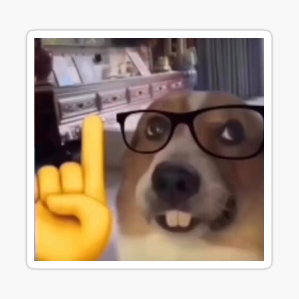 "Um actually dog" Sticker for Sale by Visual20 | Redbubble