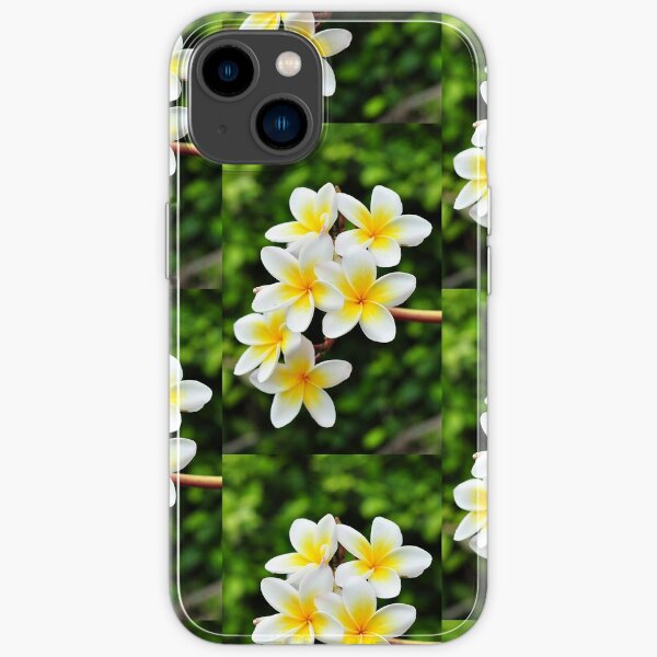 "Plumeria FLOWER(common name Frangipani)" iPhone Case for Sale by kanaujiamonu | Redbubble