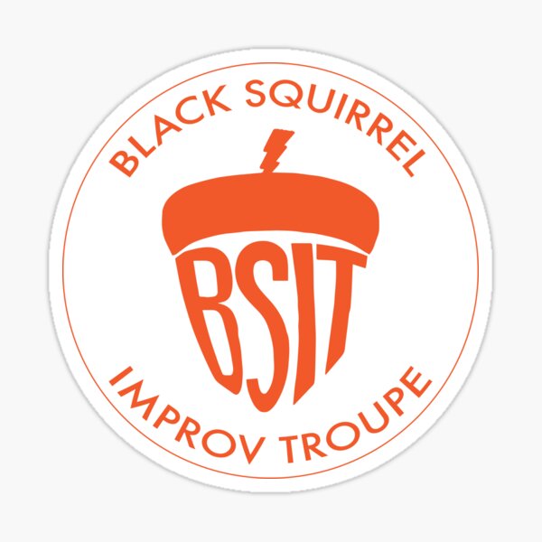 "BSIT Circle Logo" Sticker for Sale by bsimprovtroupe | Redbubble