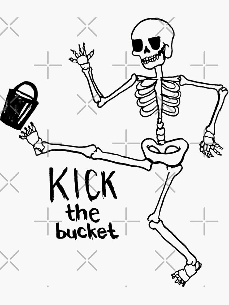 "Kick the bucket" Sticker for Sale by mOchi1mOchi2 | Redbubble
