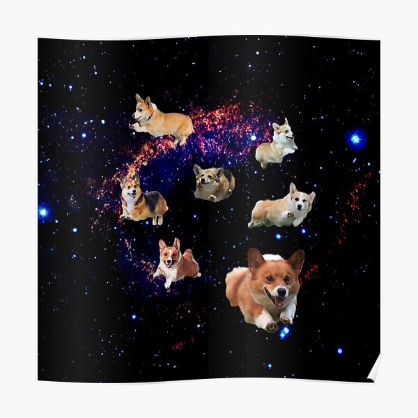 "Space Corgis" Poster by muntificator | Redbubble
