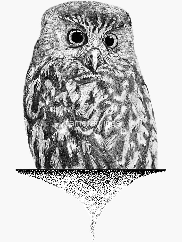 "Ruru, New Zealand Morepork" Sticker for Sale by hamdrawings | Redbubble