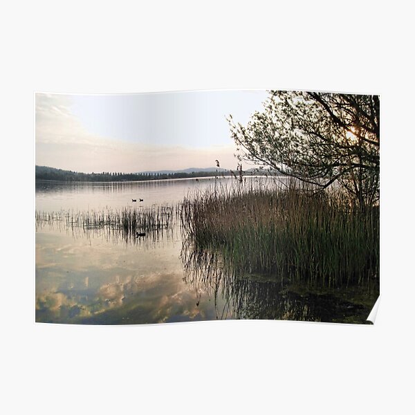 "Lake of Varese - sunset n.1" Poster for Sale by Rori | Redbubble