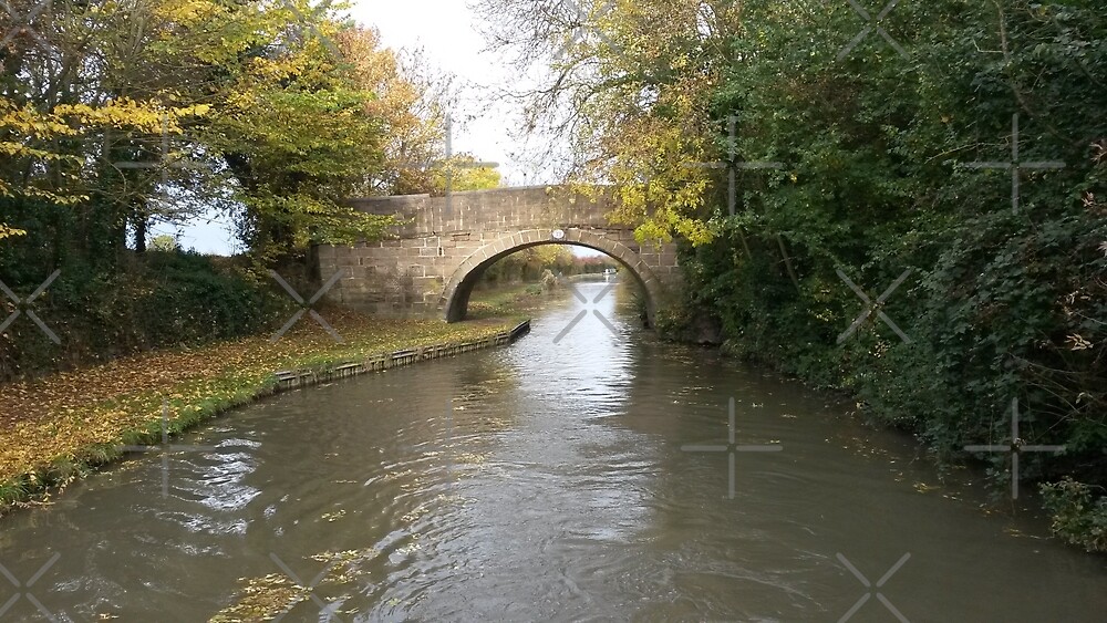 "Volksbolts/KABFA Designs, (PLNBC) Ashby Canal Bridge Autumn Colour" by ...