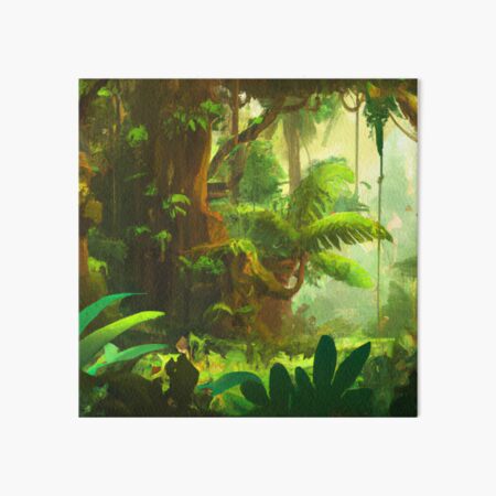 "The Amazon Forest - Amazon Forest Conservation - The Amazon Rainforest ...