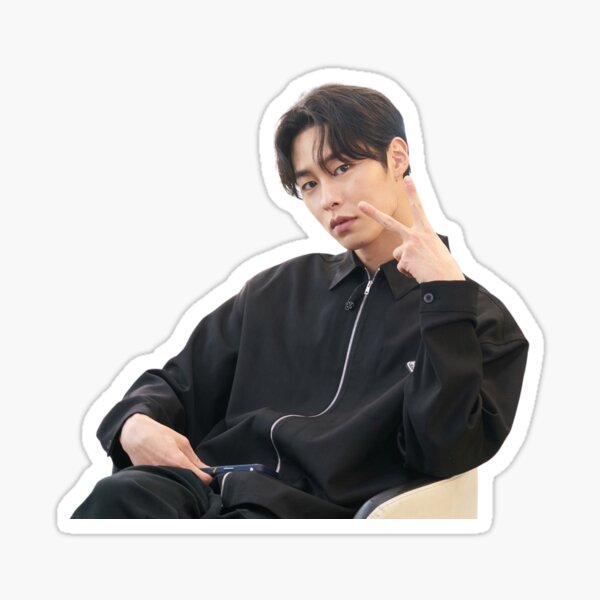 "lee jae wook" Sticker for Sale by freeslex | Redbubble