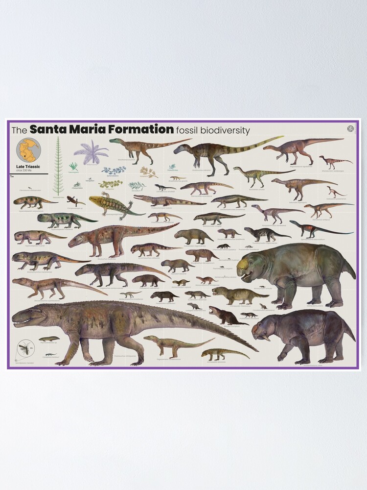 "Santa Maria Formation Poster" Poster for Sale by julia-doliveira ...