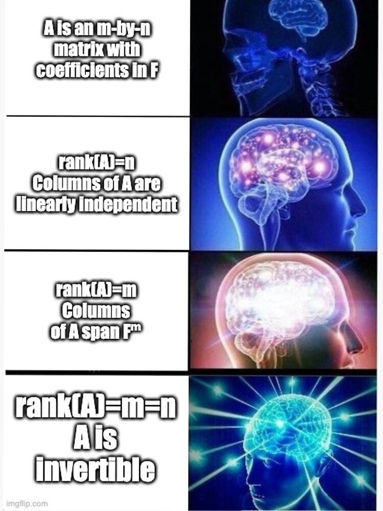 "Linear Algebra Matrix Meme" Sticker for Sale by coolcat4023 | Redbubble