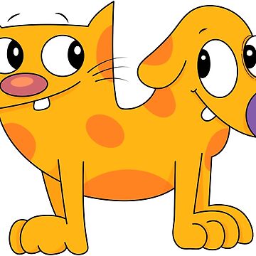 Baby catdog store
