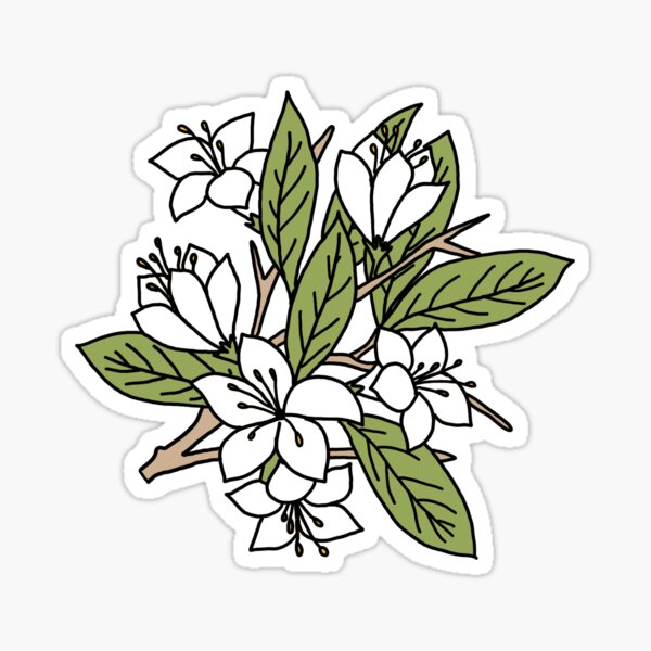 "white flowers" Sticker for Sale by Sofiv10 | Redbubble