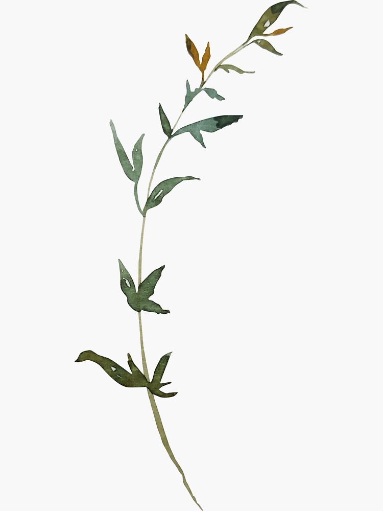 "Print of green tiny twigs branch watercolor green leaves" Sticker for ...