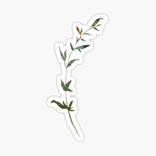 "Print of green tiny twigs branch watercolor green leaves" Sticker for ...