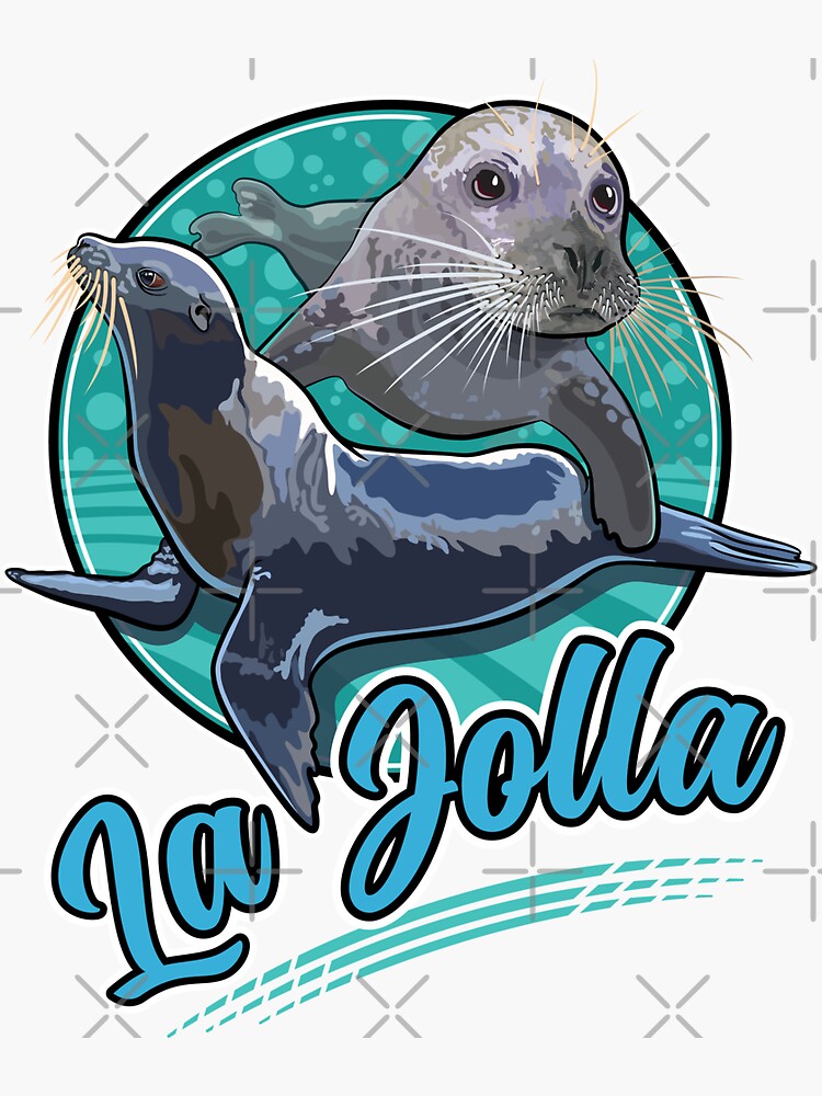 "Harbor Seal and Pacific Sea Lion at La Jolla San Diego California ...