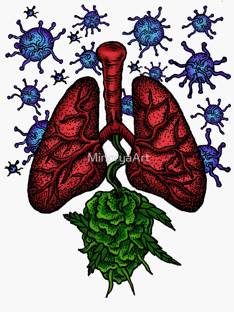 "LUNGS ANTI BACTERIA - CANNABIS FOR TUBERCULOSIS TBC" Sticker for Sale ...