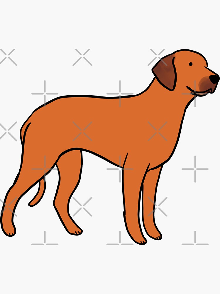 "Rhodesian ridgeback cute illustration " Sticker for Sale by ...