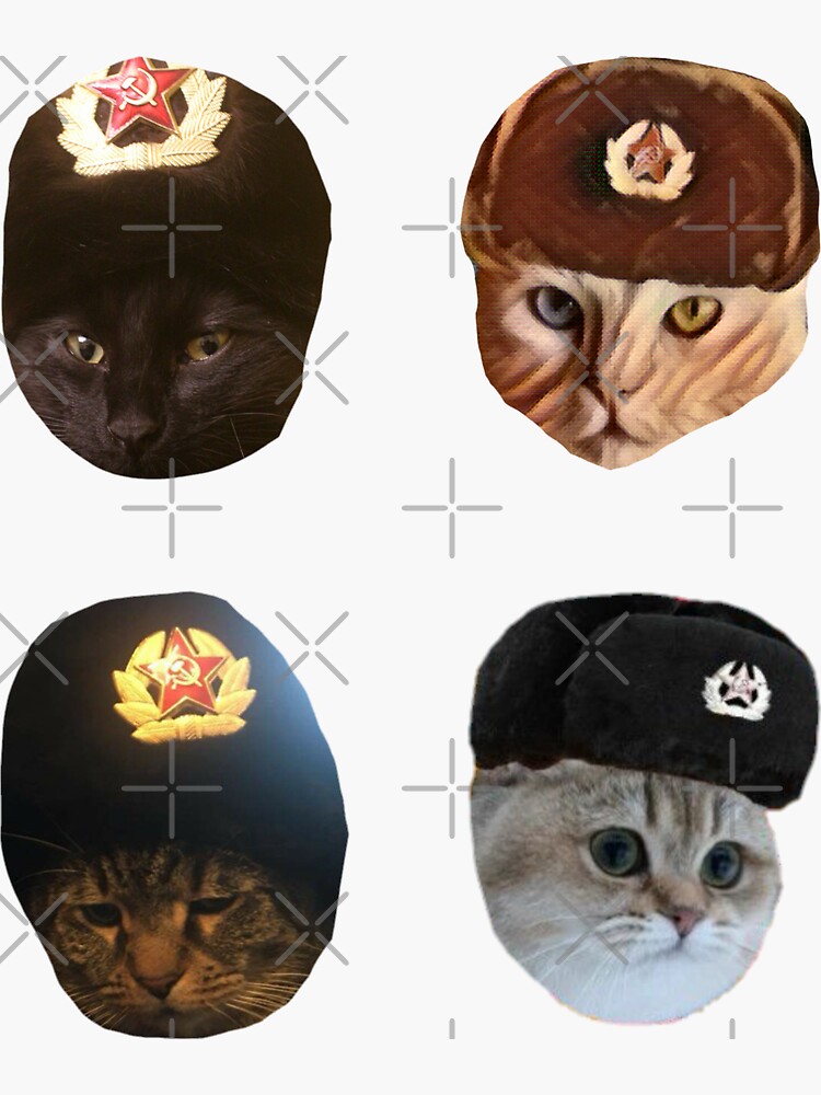 "Cats are Comrades pack" Sticker for Sale by redakhatib | Redbubble