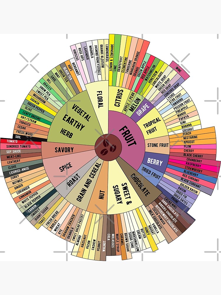 "Coffee Tasting Aroma Wheel" Poster for Sale by gutszilla | Redbubble