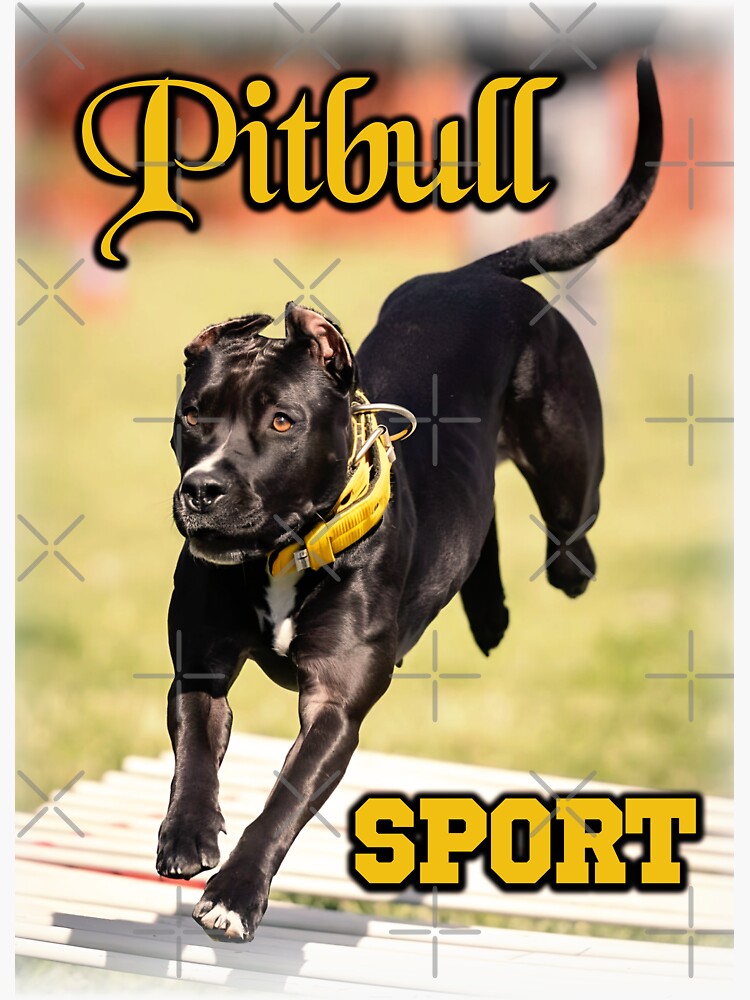"APBT American Pitbull Terrier SPORT dog" Sticker for Sale by ...